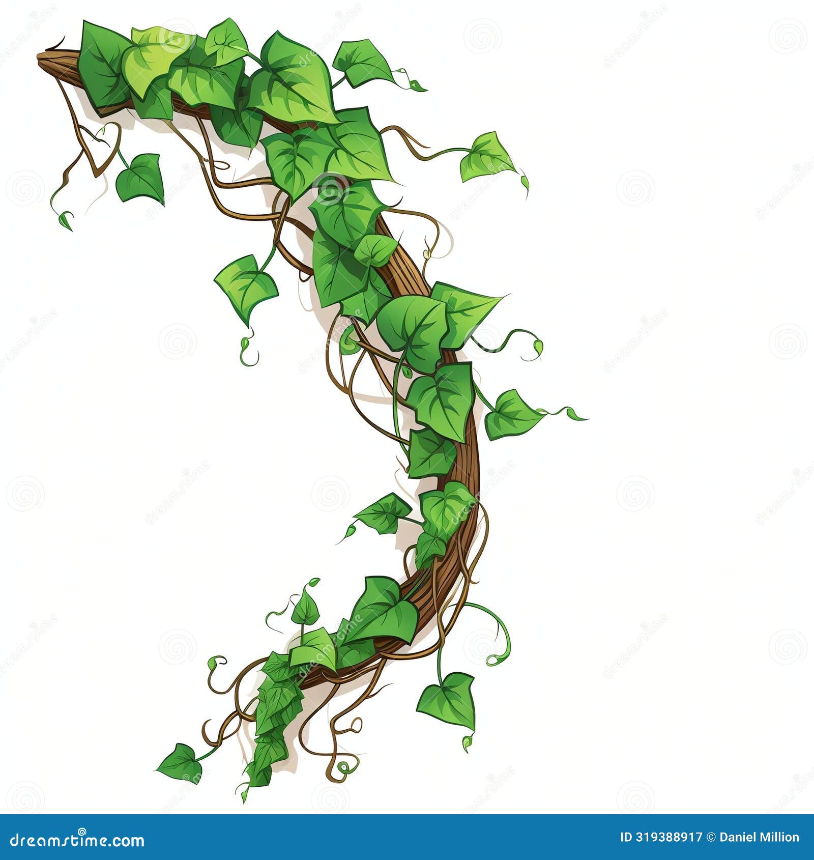 Beautiful Corner Ivy Clipart Illustration Royalty-Free Cartoon ...