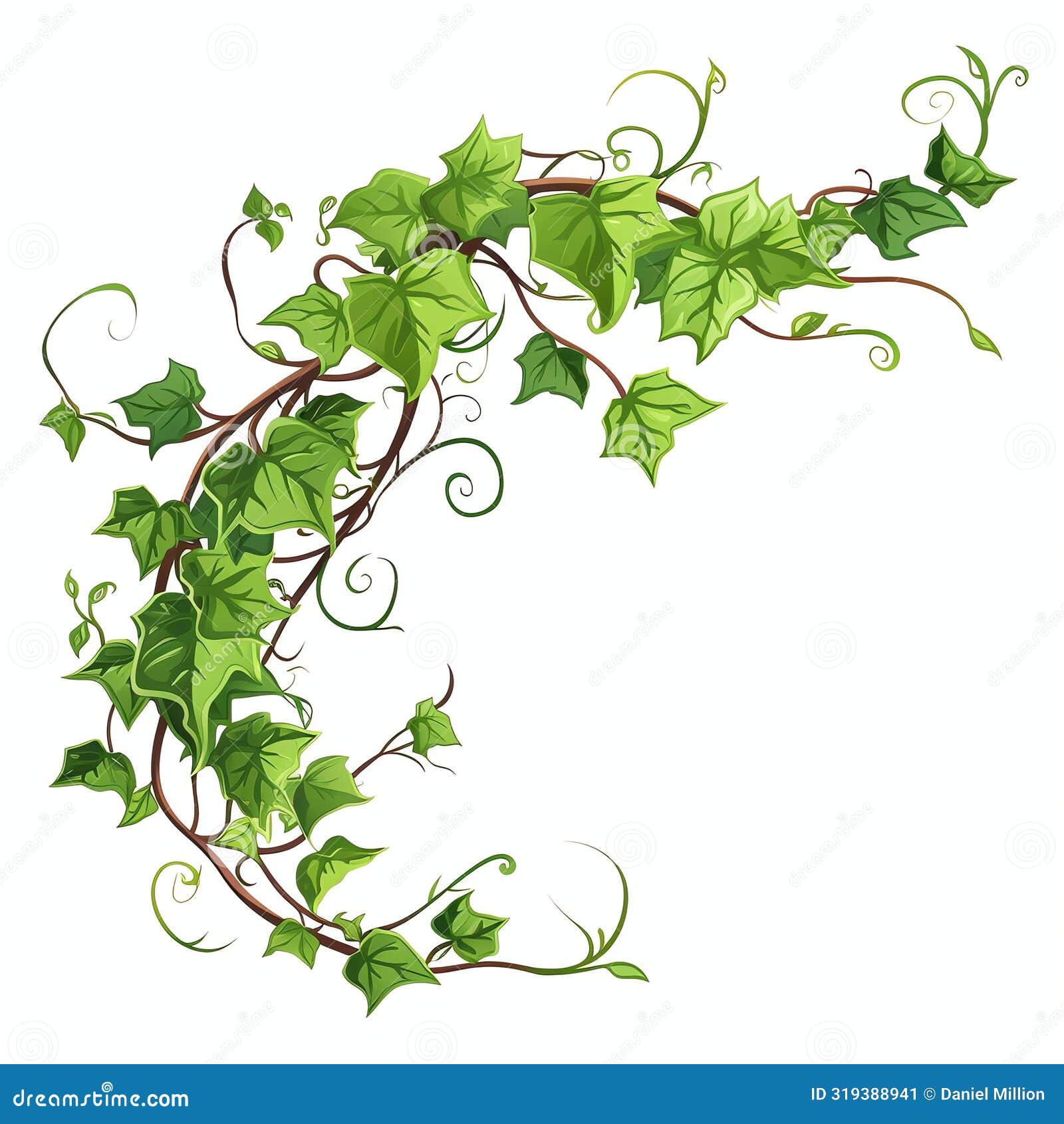 Beautiful Corner Ivy Clipart Illustration Stock Illustration ...