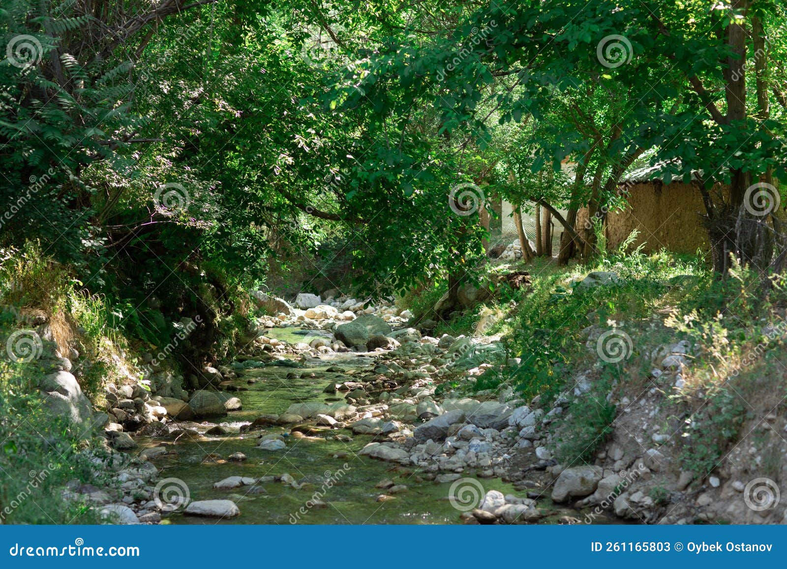A Beautiful Corner in a Village: the Brook through the Village with ...
