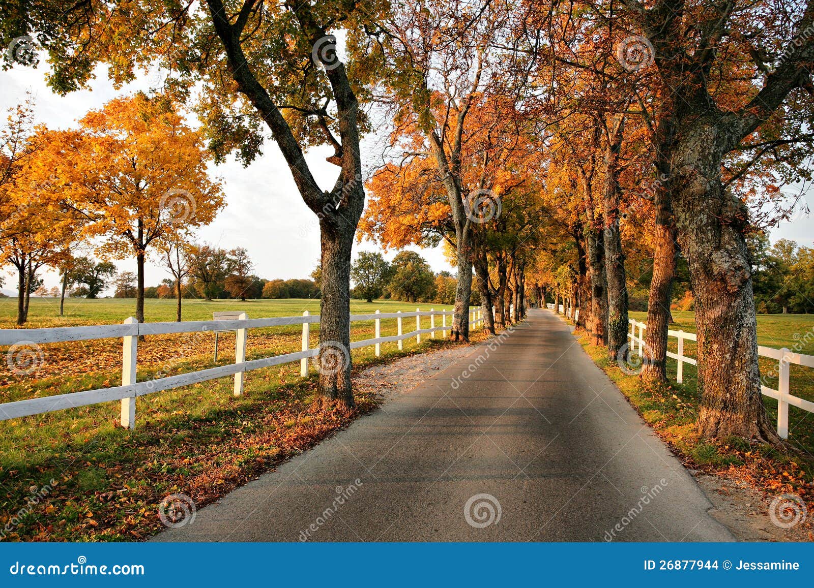 Beautiful Country Road in Autumn Stock Photo - Image of fence, concrete ...