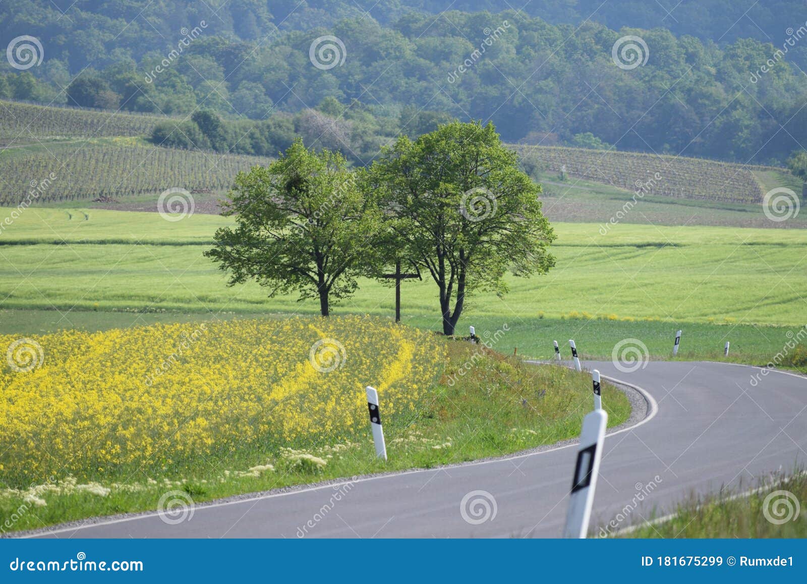 A Country Road with Confusing Cornering Stock Image - Image of romantic ...