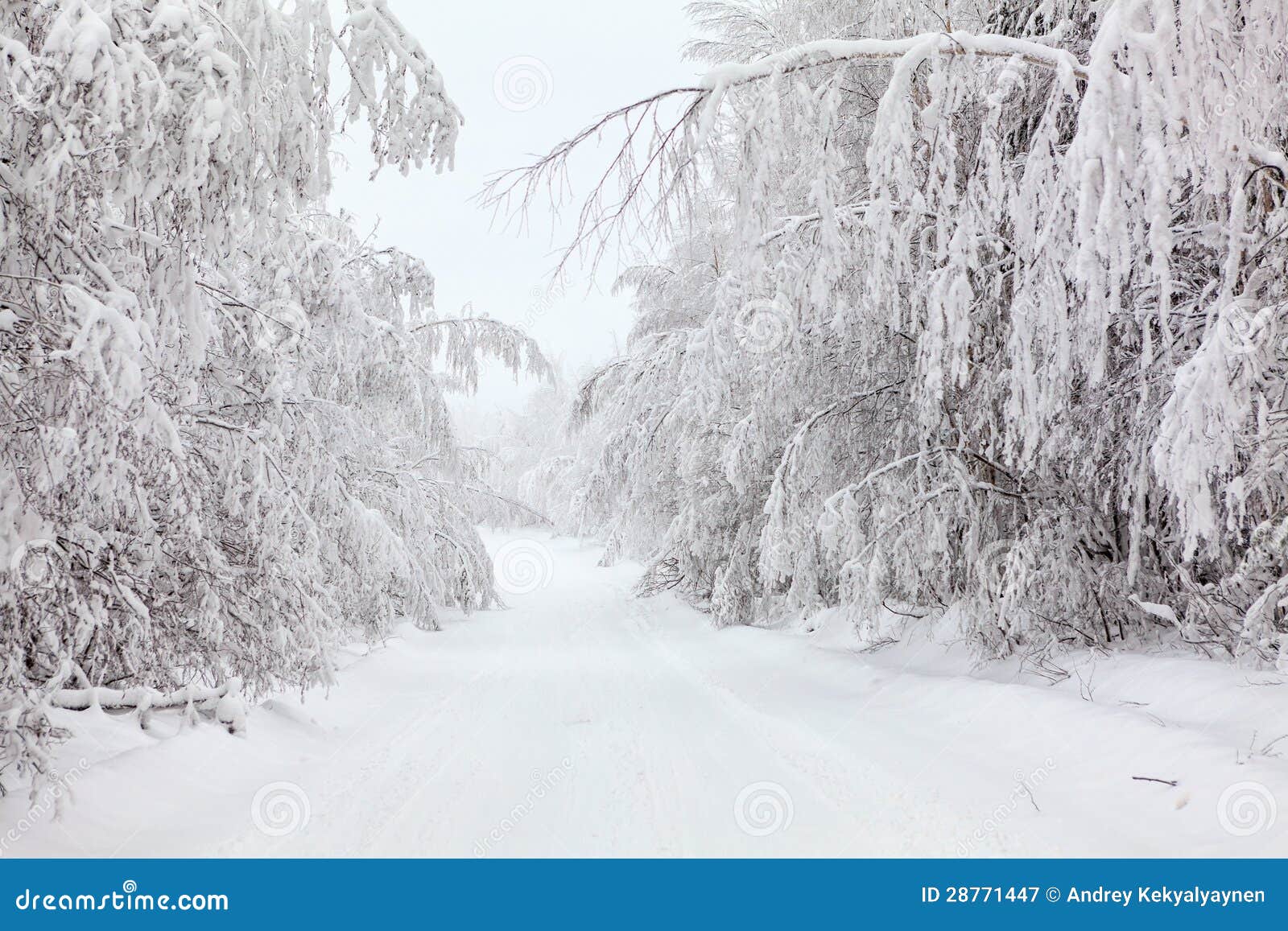 Beautiful Country Winter Road Stock Image - Image of landscapes, poor ...
