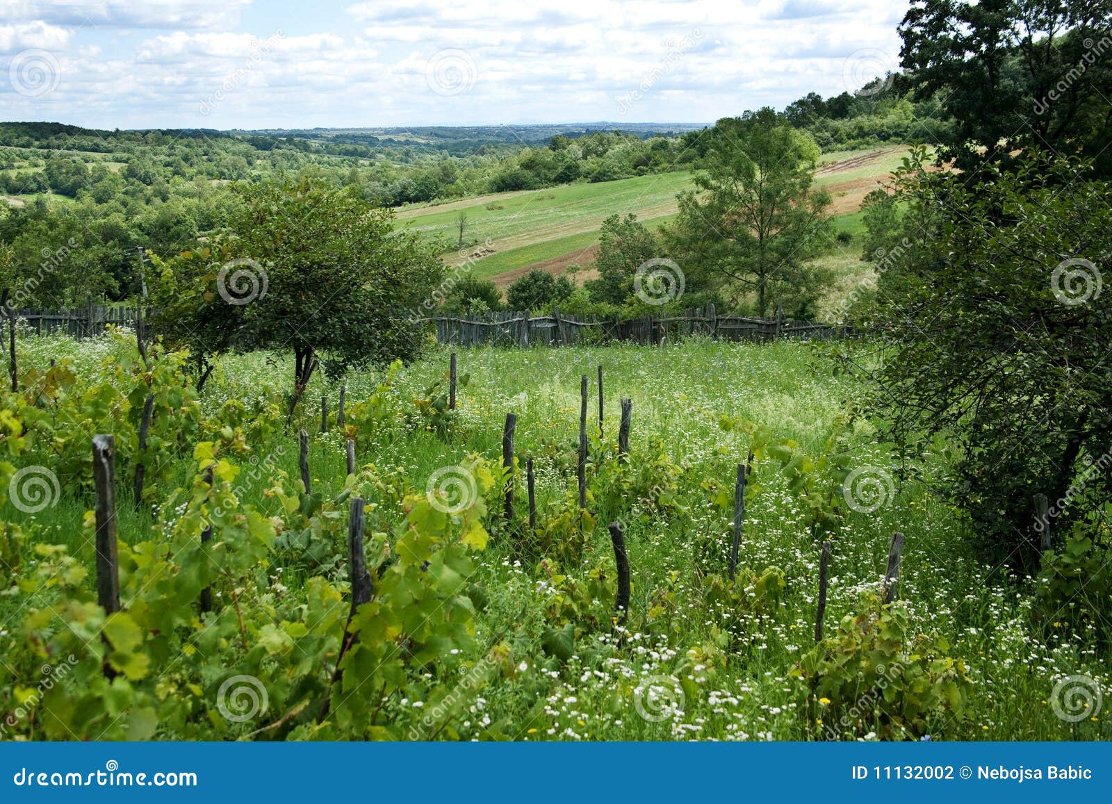 Beautiful countryside stock photo. Image of natural, rolling - 11132002