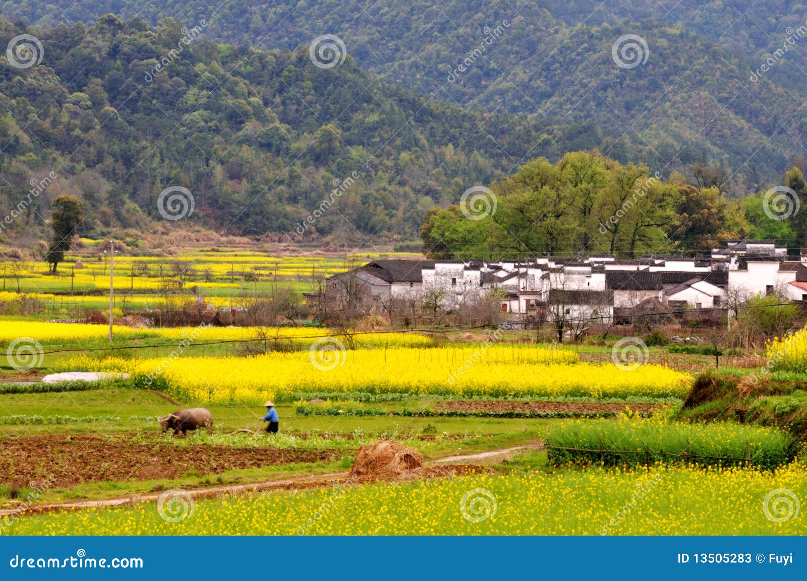 The beautiful countryside stock image. Image of farmland - 13505283