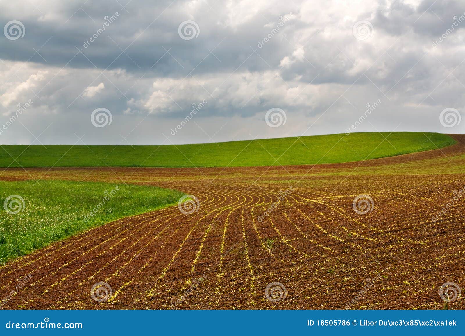 Beautiful Countryside Field Stock Photo - Image of backwoods ...