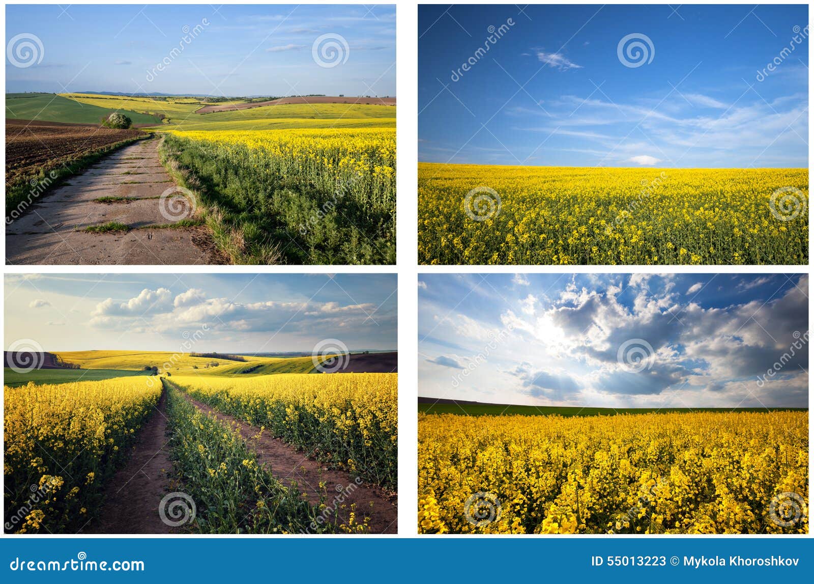 Beautiful Countryside Landscape Stock Image - Image of green, colza ...