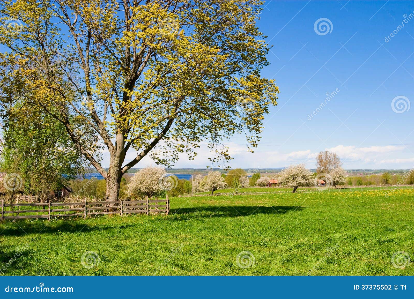 Beautiful Countryside Landscape Stock Photo - Image of deciduous ...
