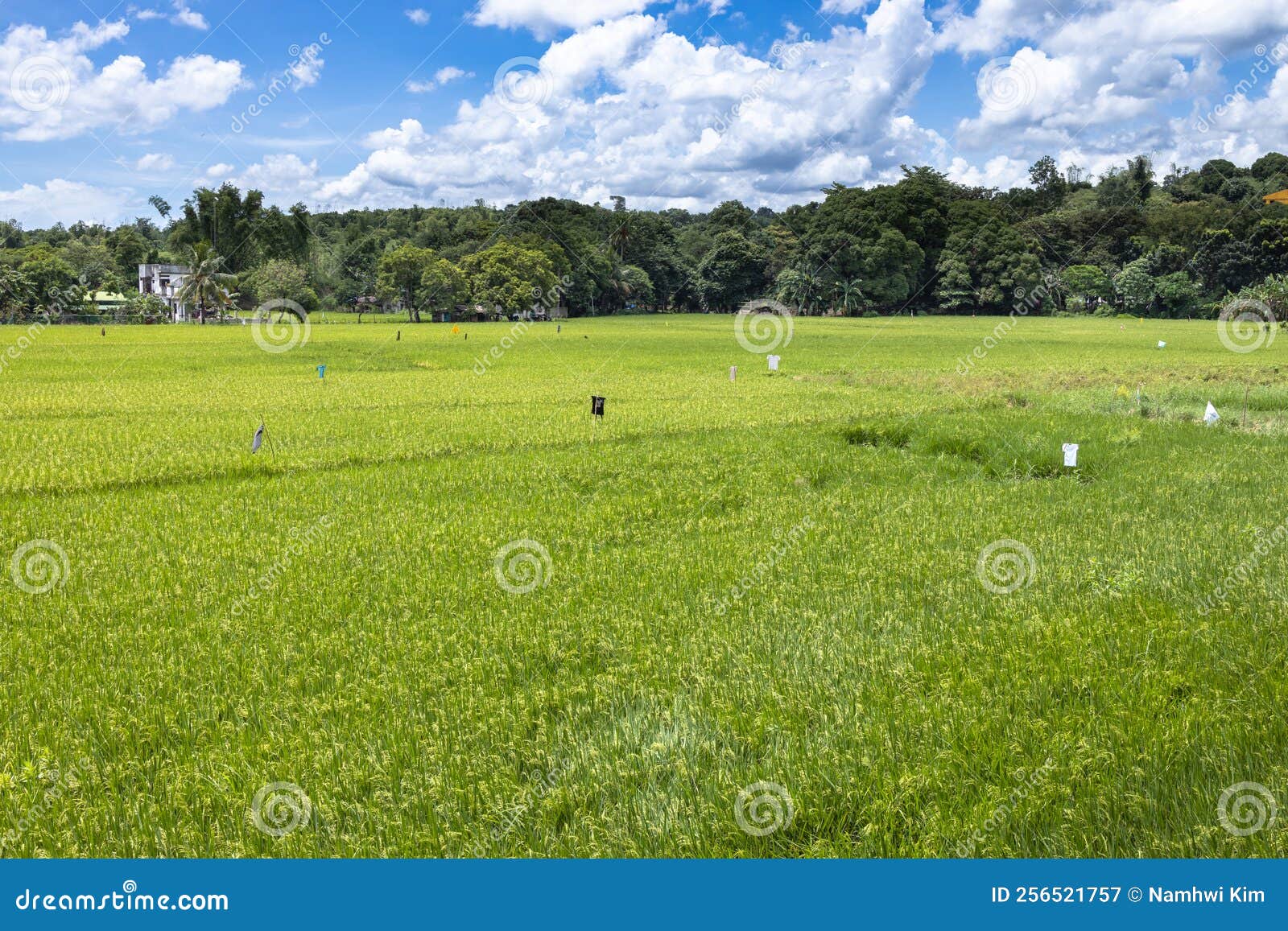 Beautiful Countryside Landscape View at the Philippines Stock Image ...