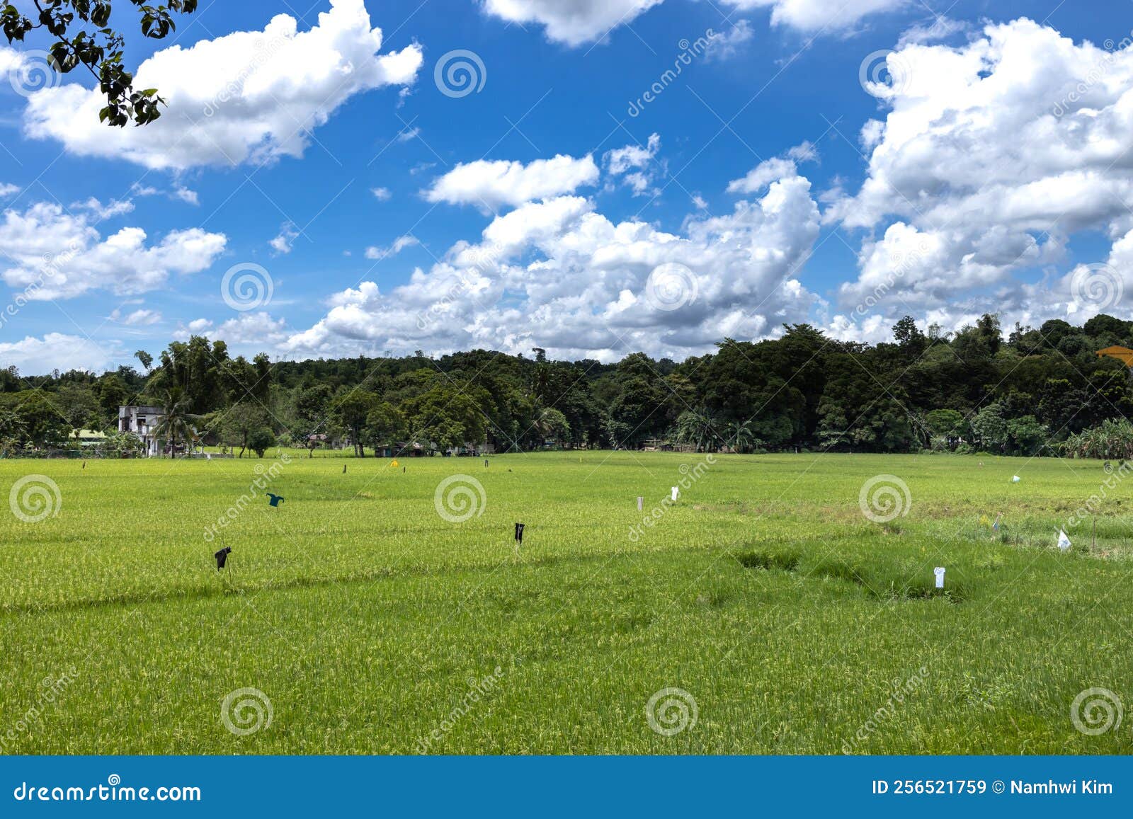 Beautiful Countryside Landscape View at the Philippines Stock Image ...