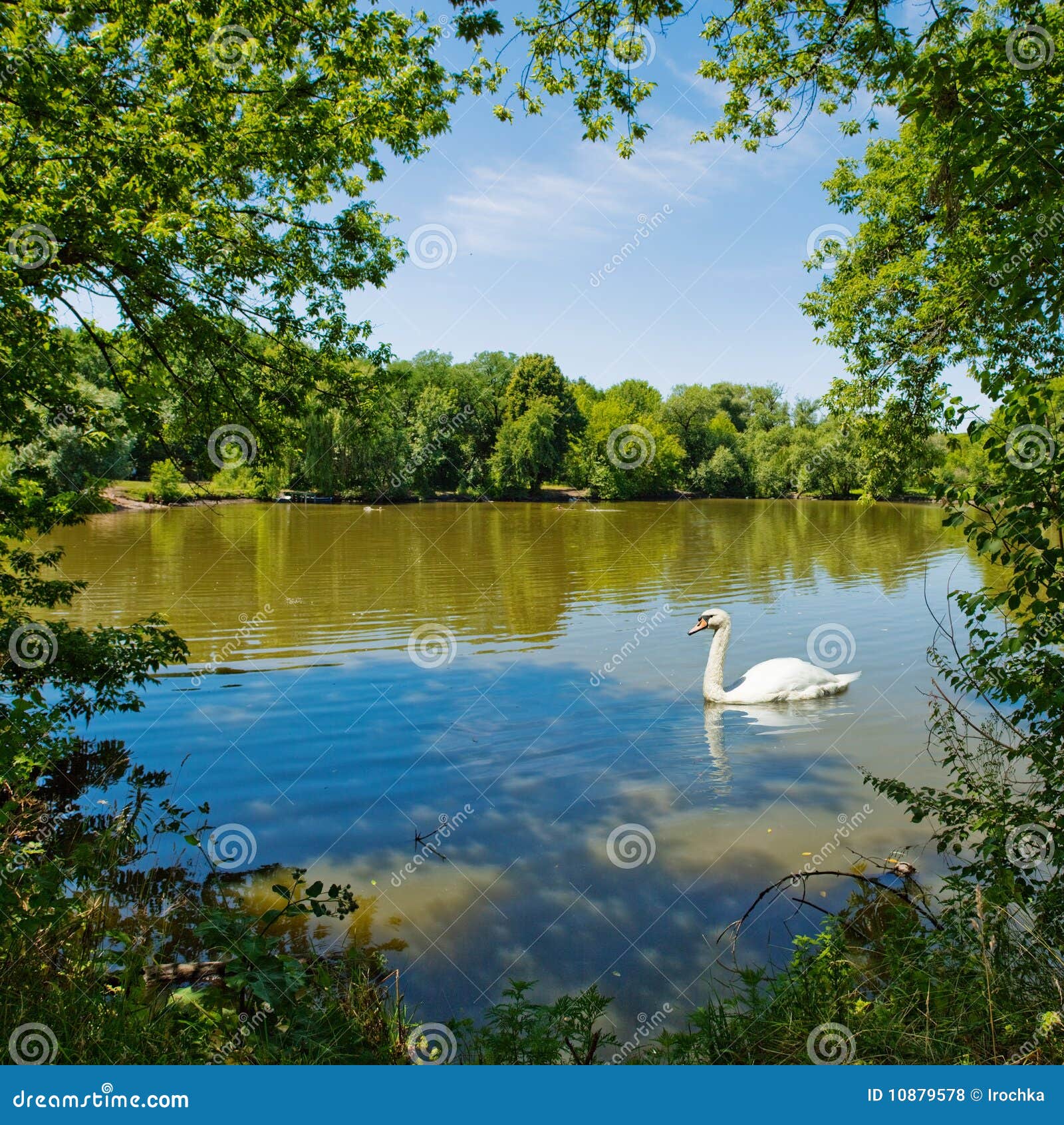 Beautiful Countryside Scene Stock Photo - Image of blue, peaceful: 10879578