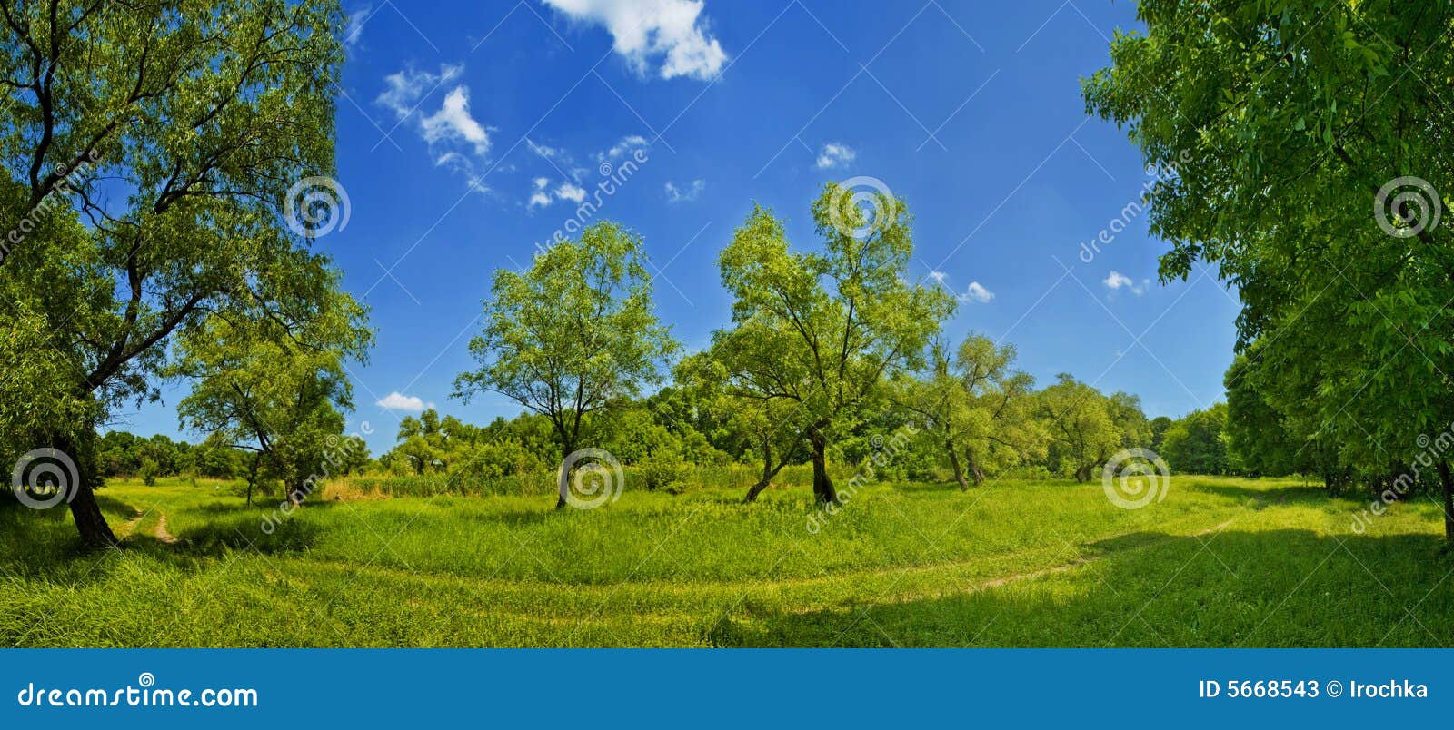 Beautiful Countryside Scene Stock Image - Image of blue, scenic: 5668543