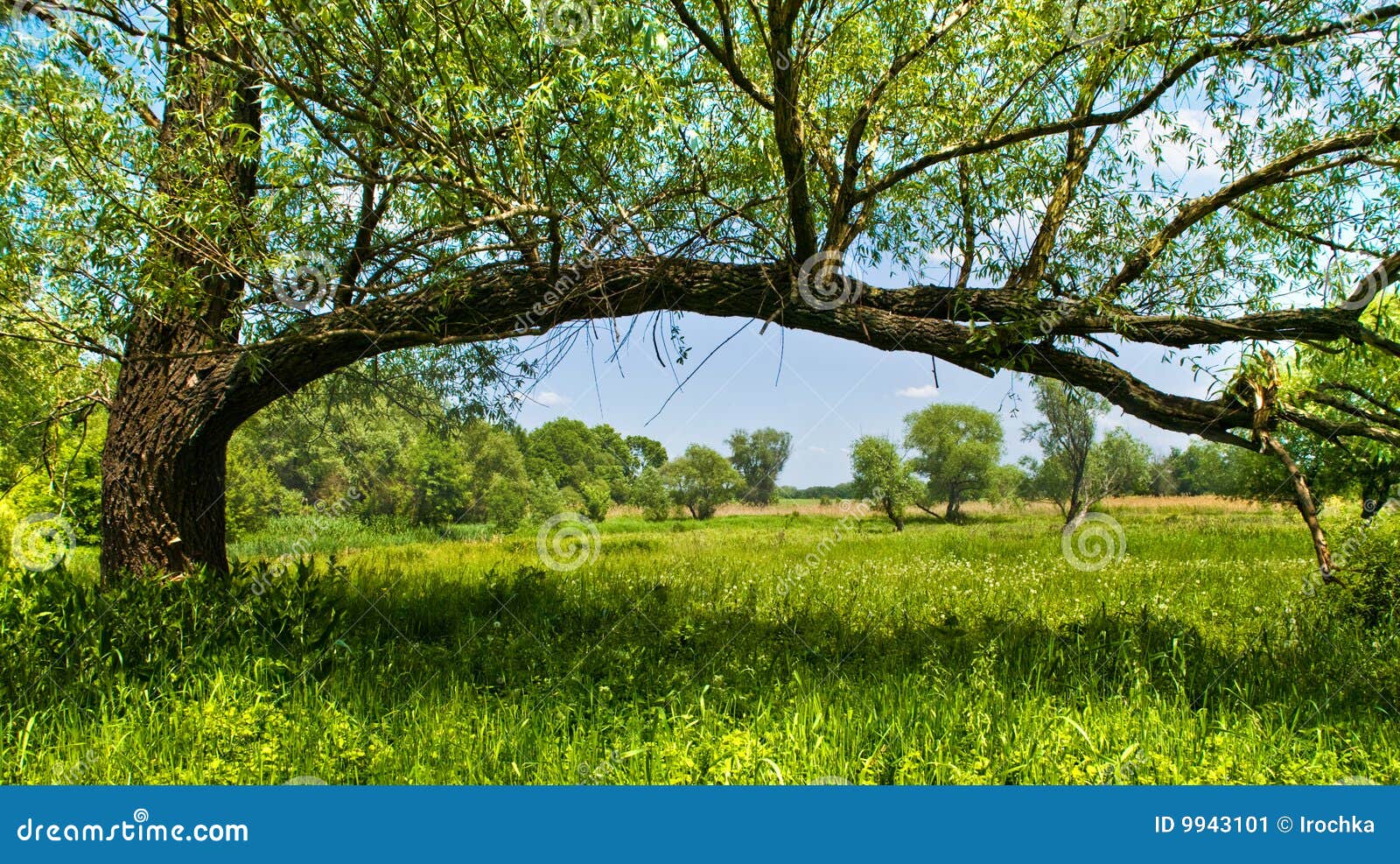 Beautiful Countryside Scene Stock Image - Image of clearing, idyllic ...