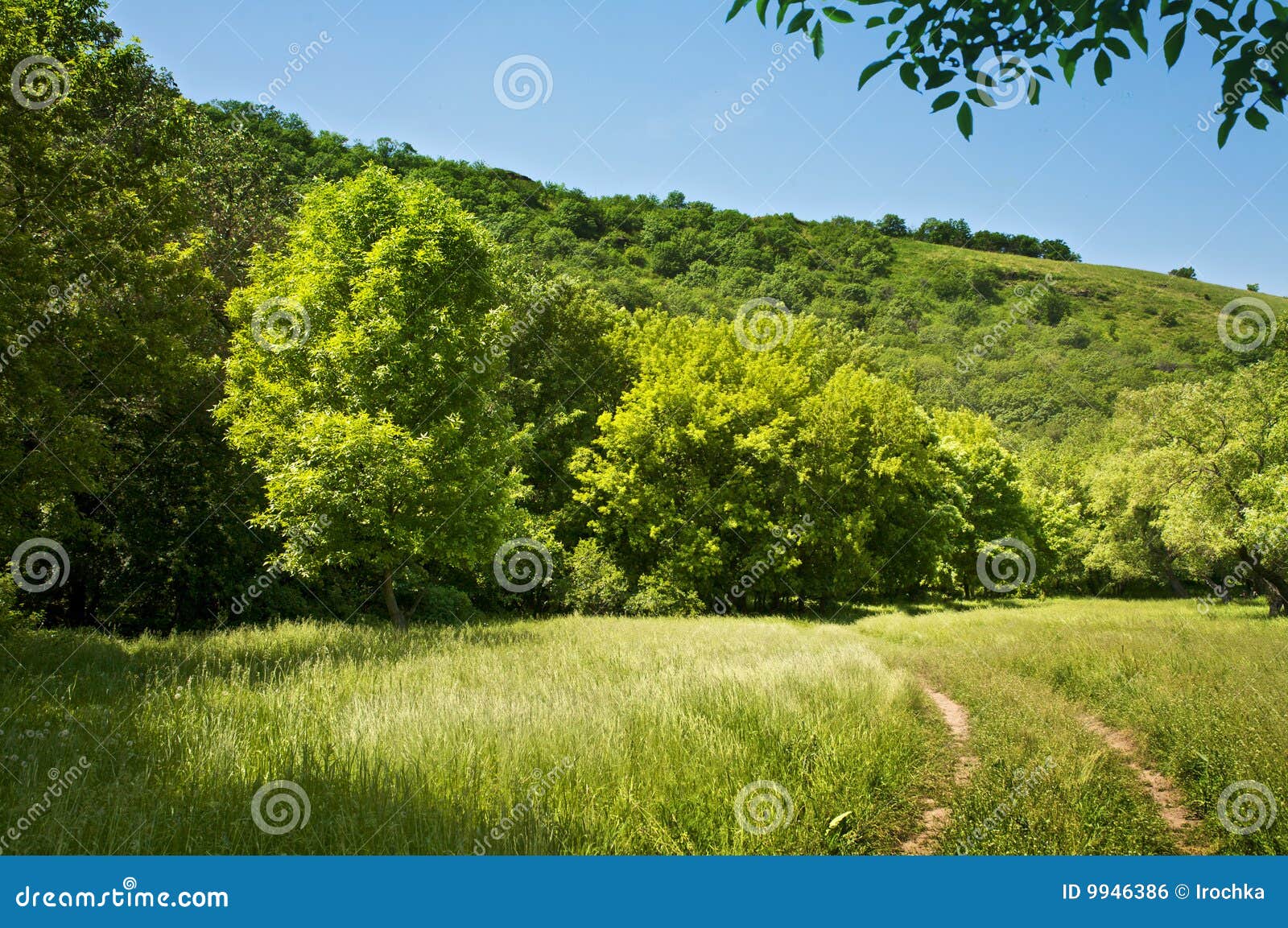 Beautiful Countryside Scene Stock Photo - Image of landscape, nature ...