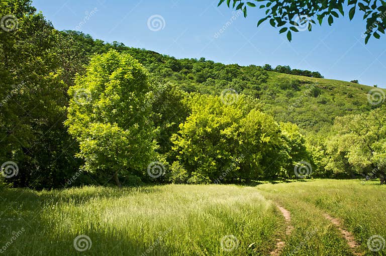 Beautiful Countryside Scene Stock Photo - Image of landscape, nature ...