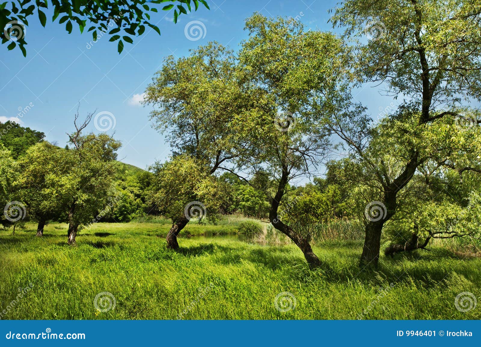 Beautiful Countryside Scene Stock Image - Image of rural, nature: 9946401