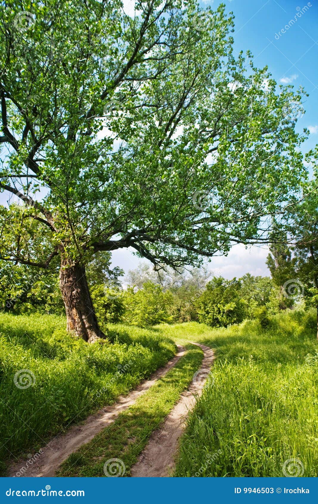 Beautiful Countryside Scene Stock Image - Image of wooded, vegetation ...
