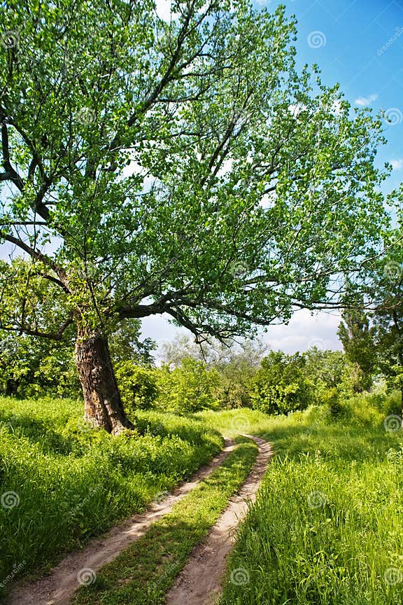 Beautiful Countryside Scene Stock Image - Image of wooded, vegetation ...