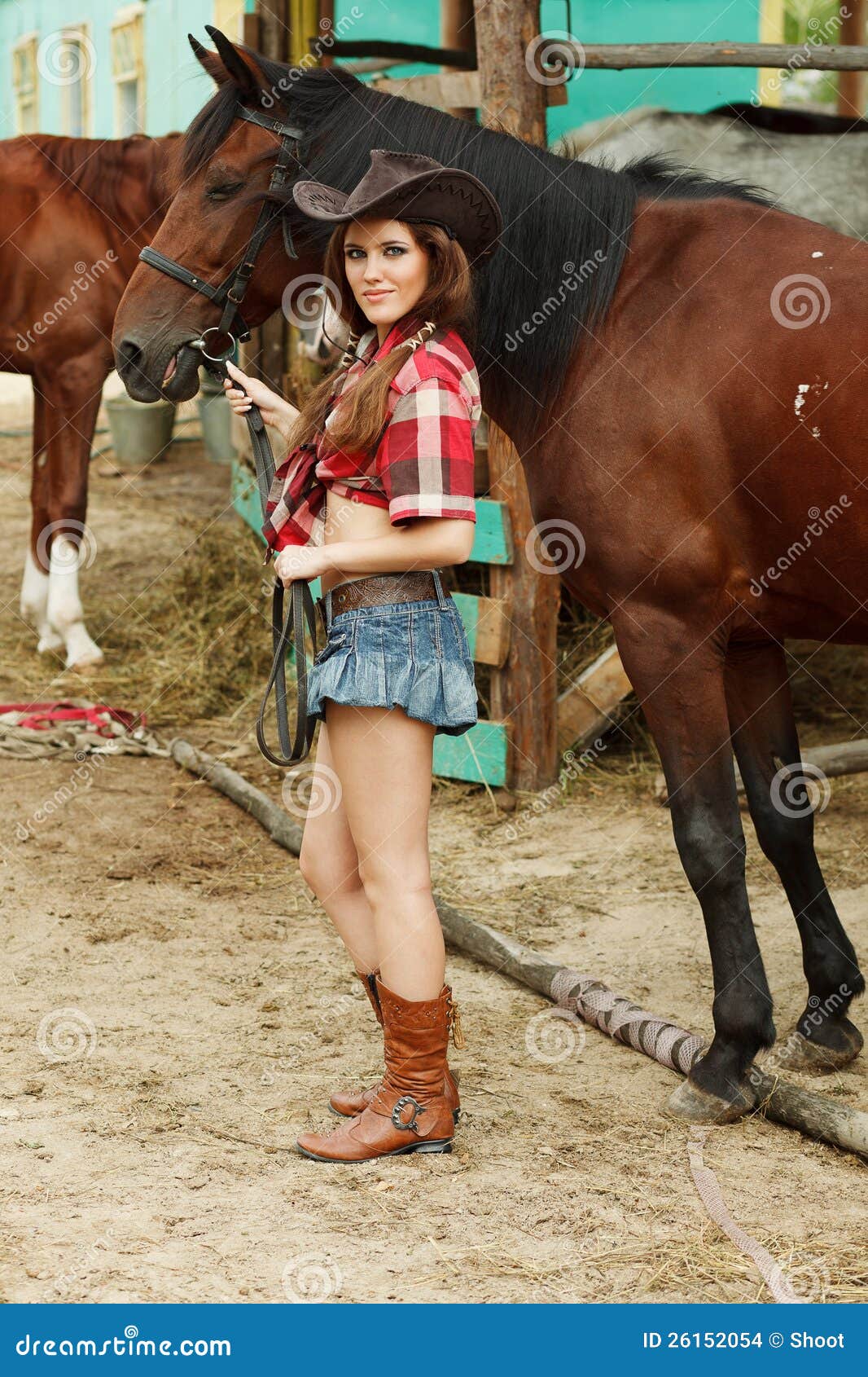 Beautiful cowgirl stock photo. Image of stallion, straw - 26152054