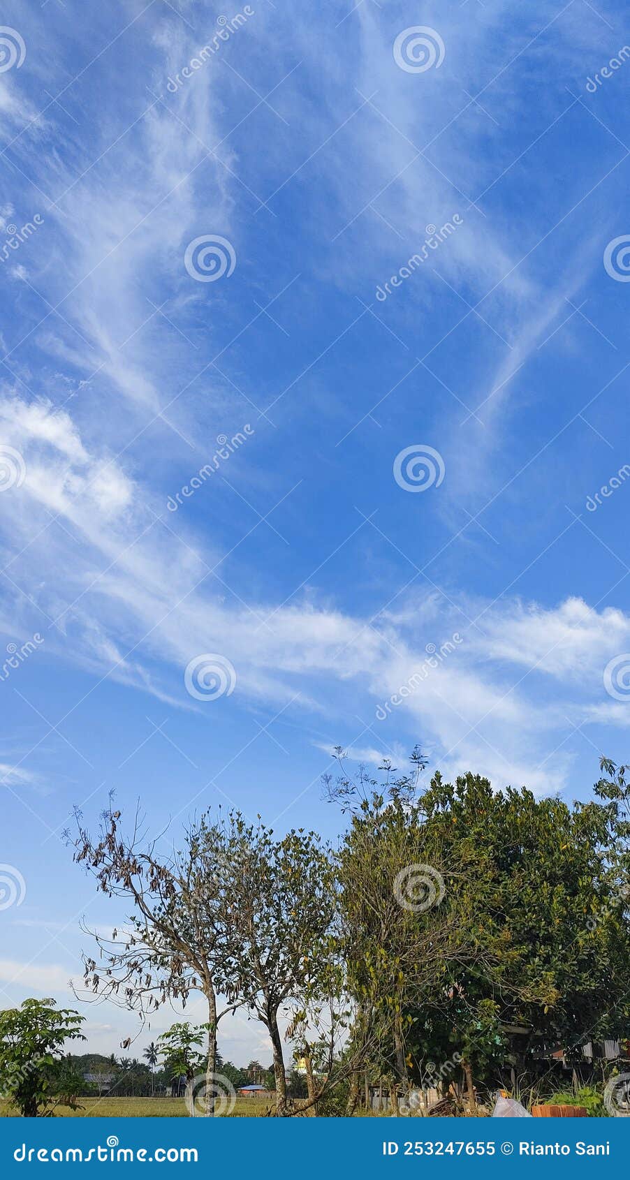 Beautiful creation of god stock image. Image of creation - 253247655