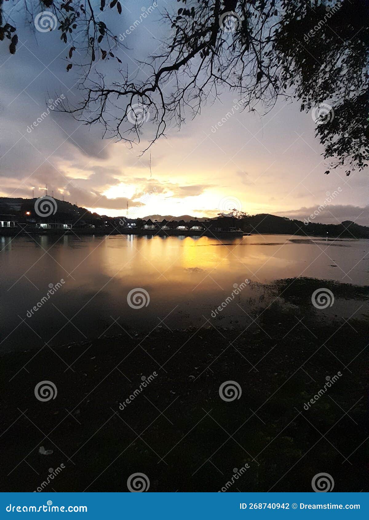 Beautiful creation of god stock photo. Image of tree - 268740942