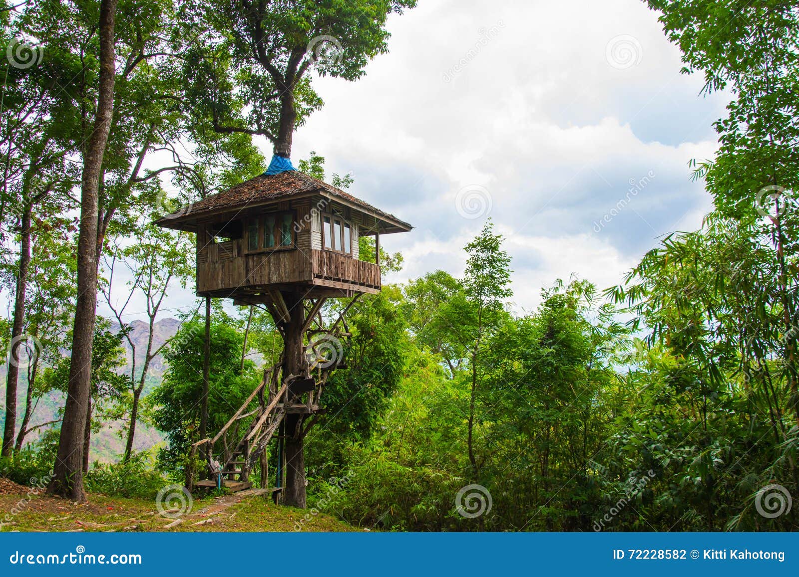Beautiful Creative Handmade Tree House Stock Photo - Image of activity ...