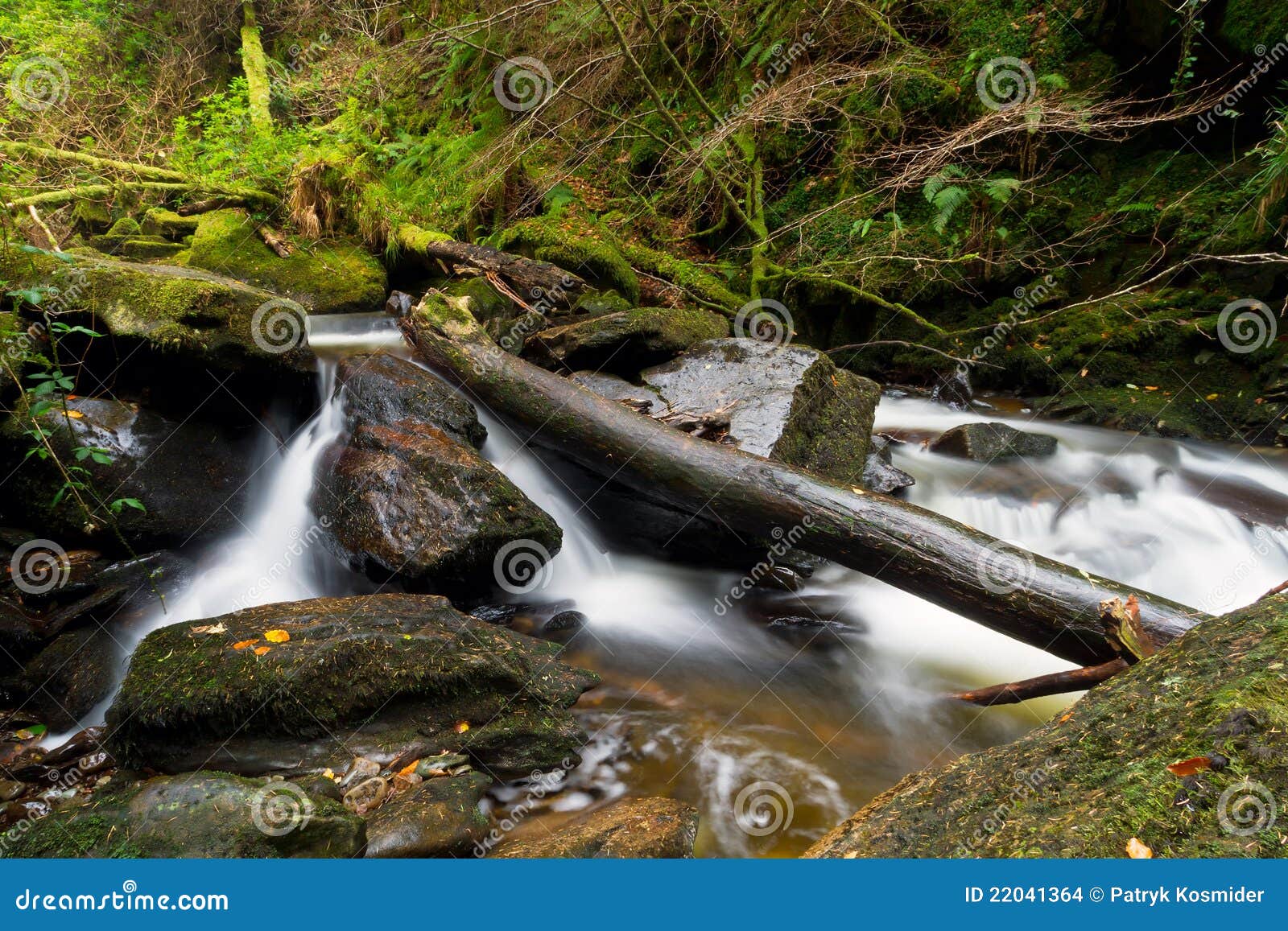 Beautiful creek stock photo. Image of landscape, county - 22041364