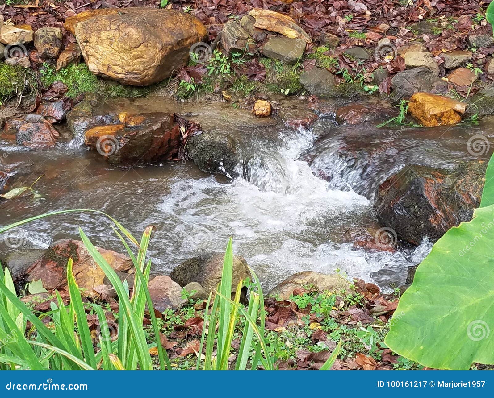 Beautiful Creek with Splashing Water Against Rocks Stock Image - Image ...