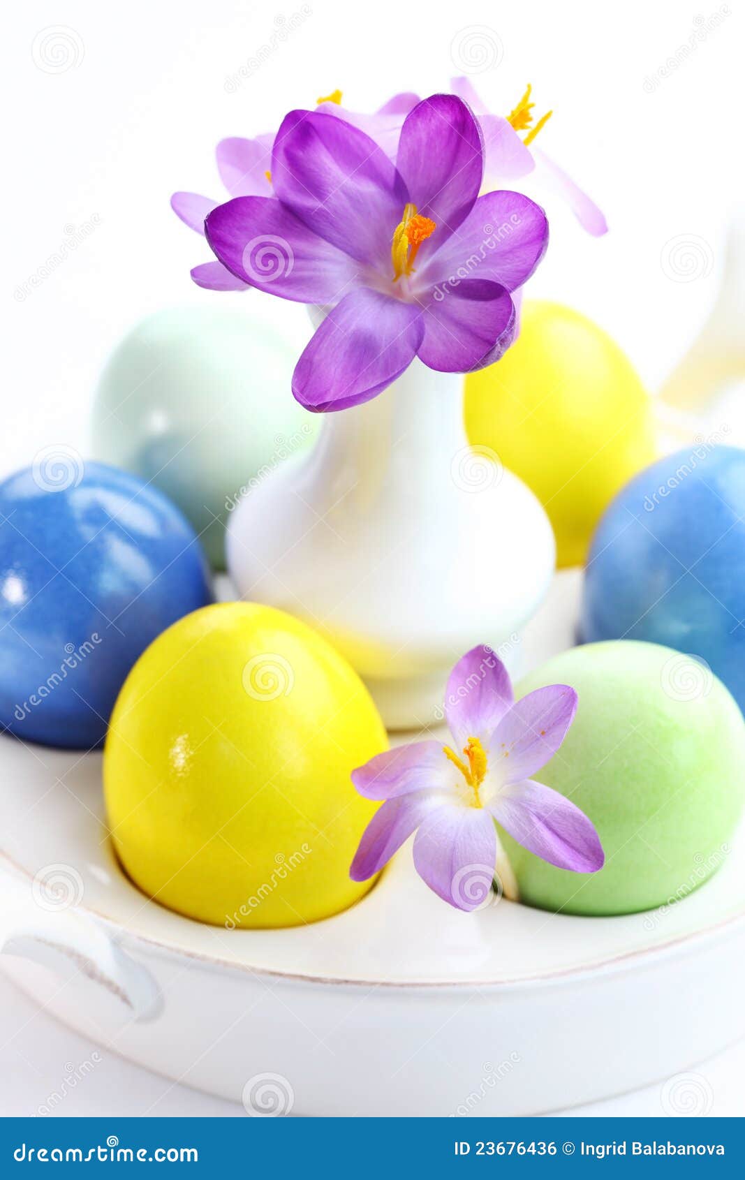 Beautiful Crocuses for Easter Stock Photo - Image of season, decorate ...