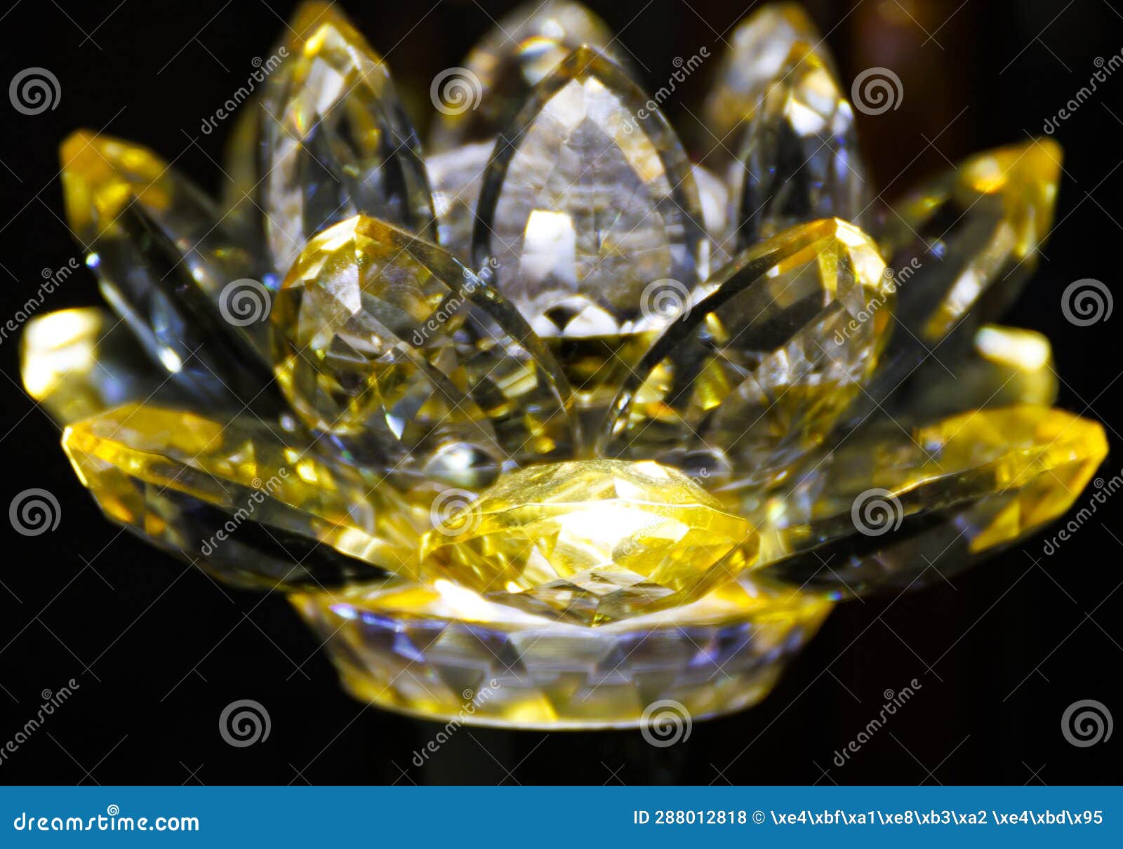 The Beautiful Crystal Lotus Lamp Stock Photo - Image of black, delicate ...
