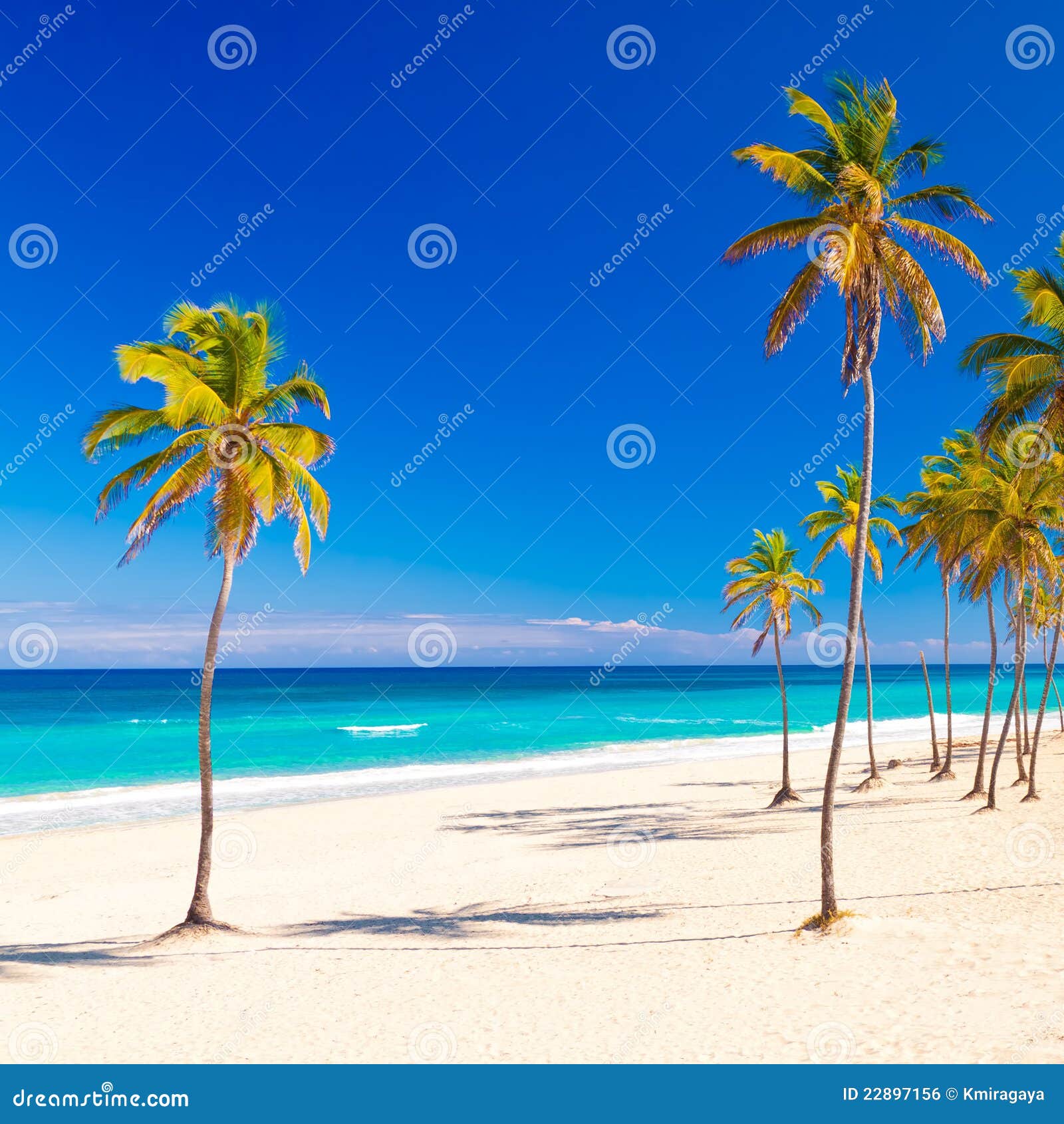 The Beautiful Cuban Beach of Varadero Stock Photo - Image of ...