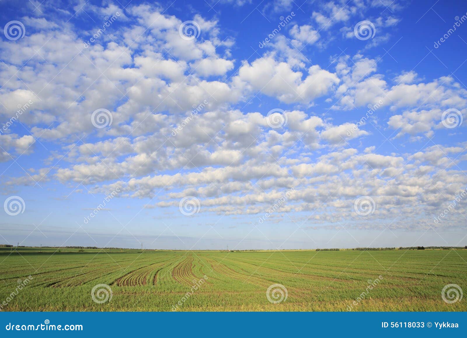 Beautiful Cumulus Cirrus Clouds Over Field Stock Image - Image of ...