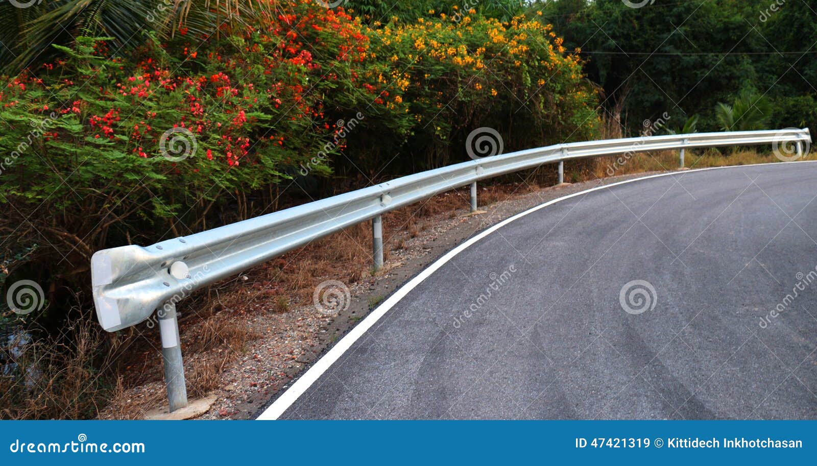 Beautiful Curve Concrete Pathway With Metal Railing In The Green Park ...