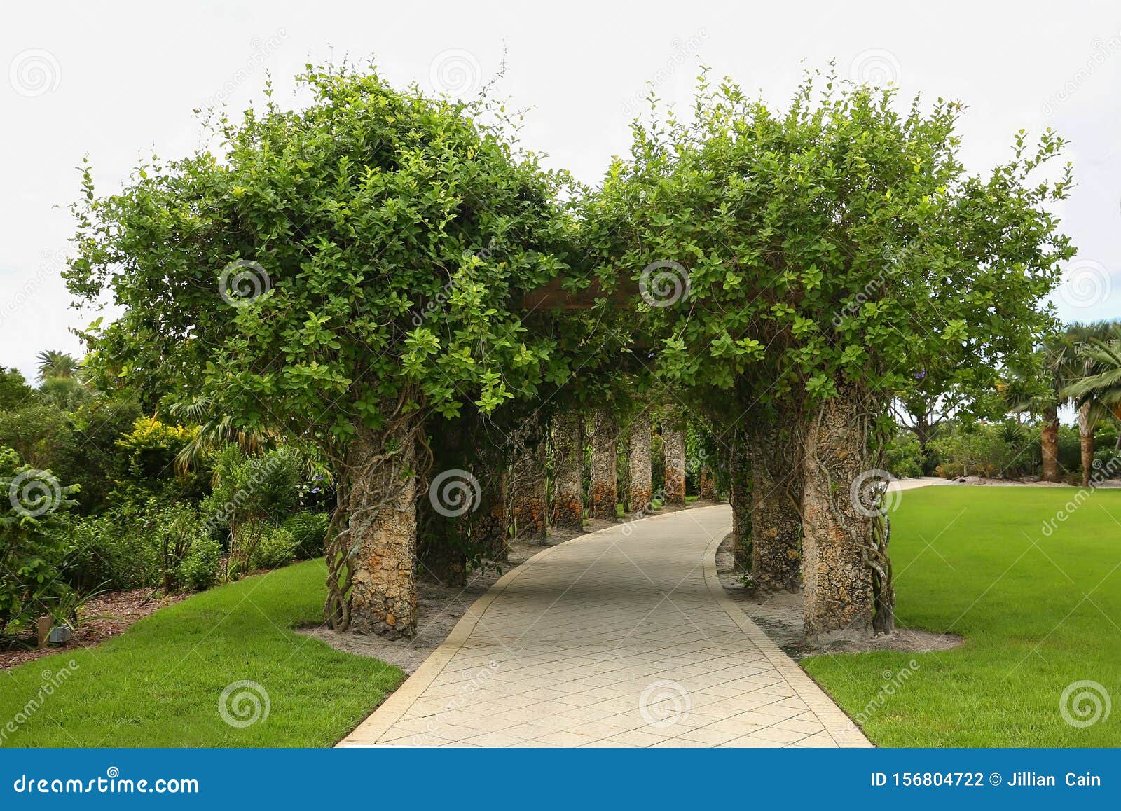 Beautiful Curved Path Surrounded by Columns Stock Photo - Image of ...