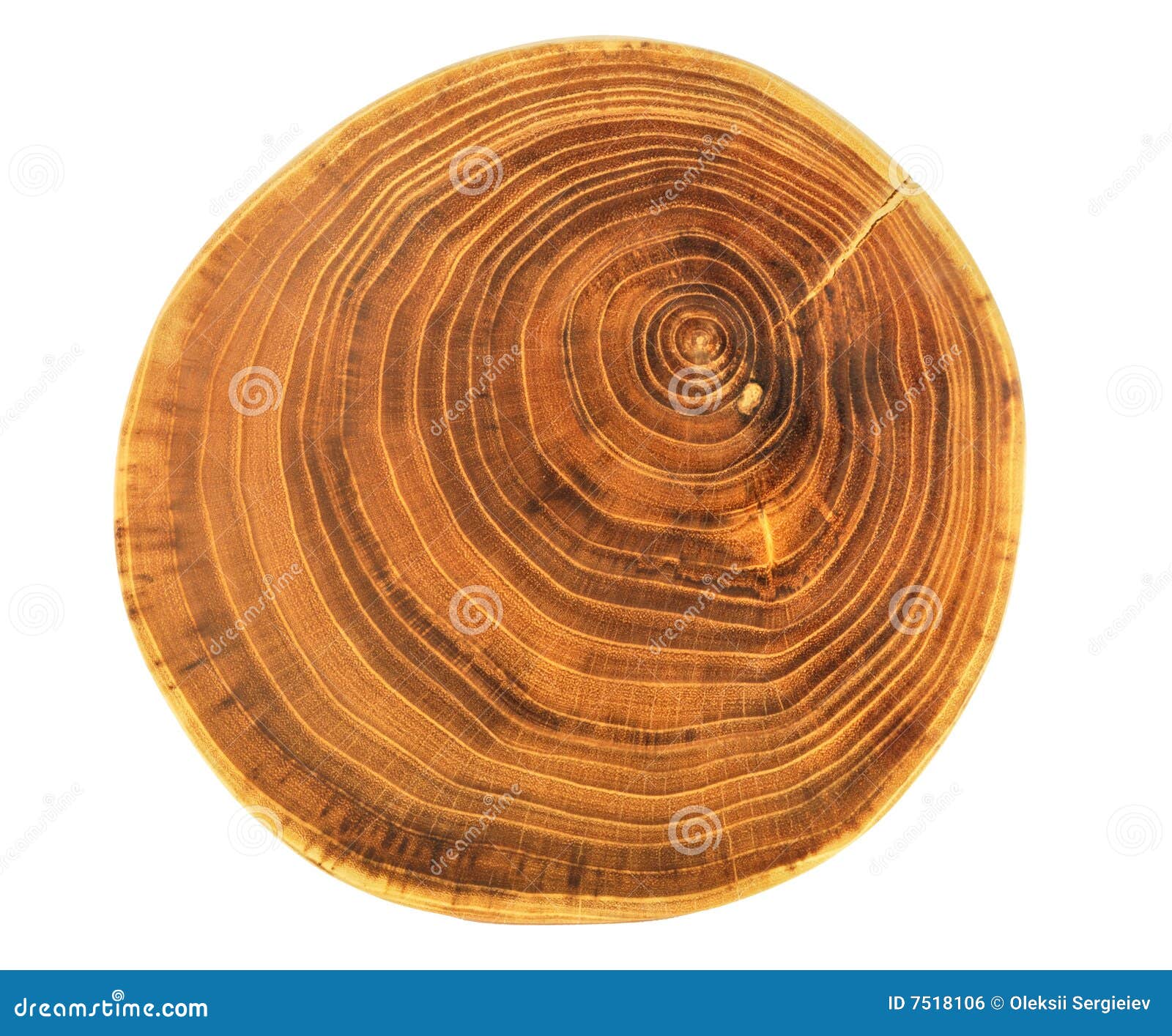 Beautiful cut of tree stock photo. Image of slice, background - 7518106