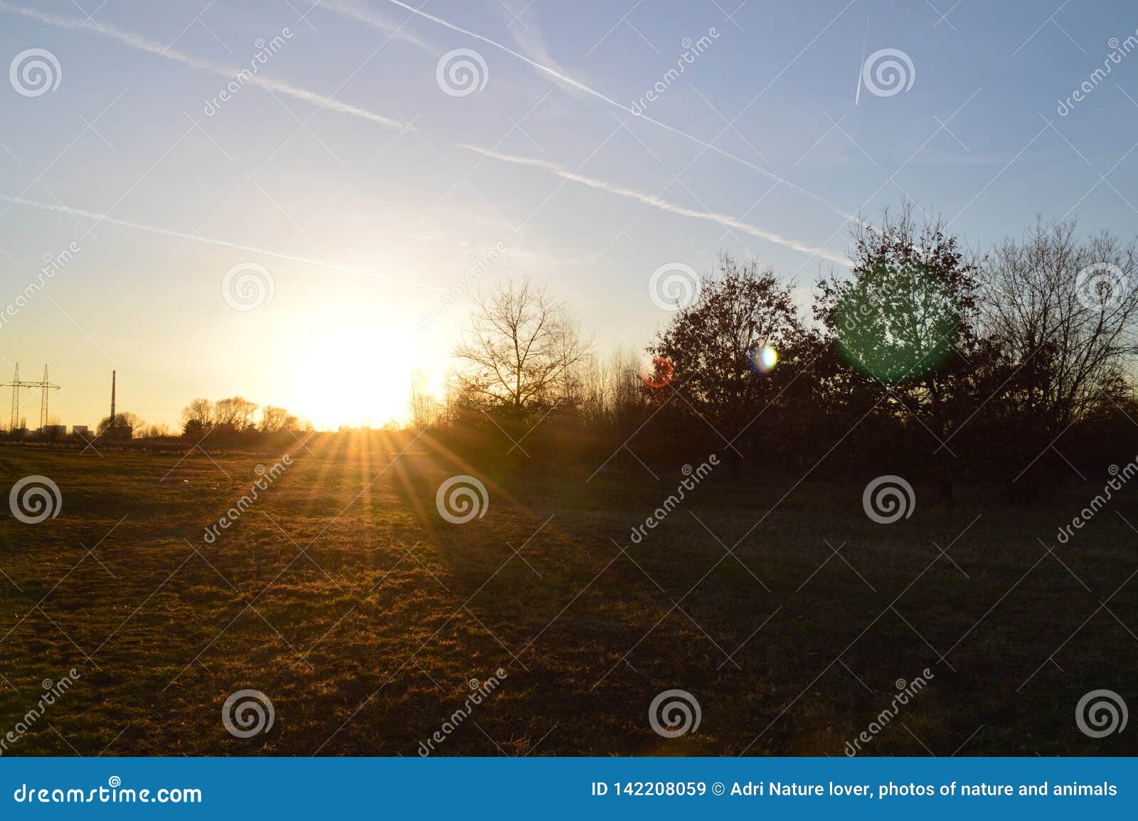 Sunset on Meadow during Spring Stock Image - Image of spring, sunset ...