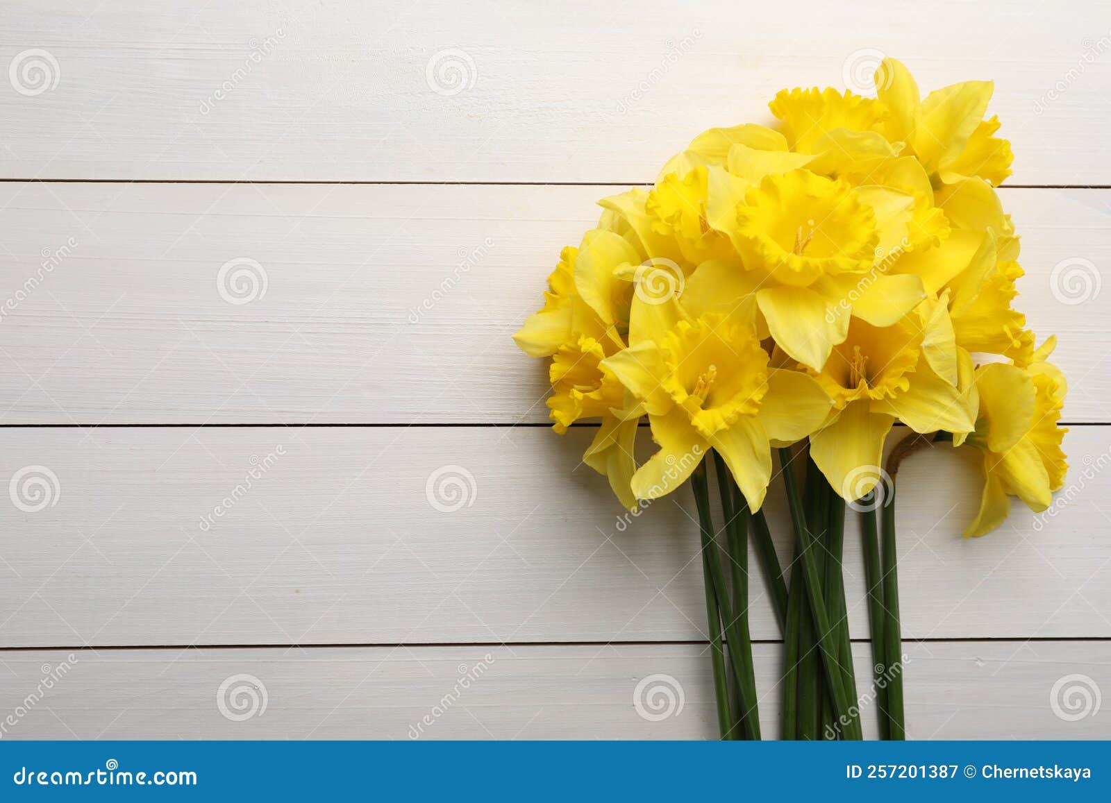 Beautiful Daffodil Bouquet on White Wooden Table, Top View. Space for ...