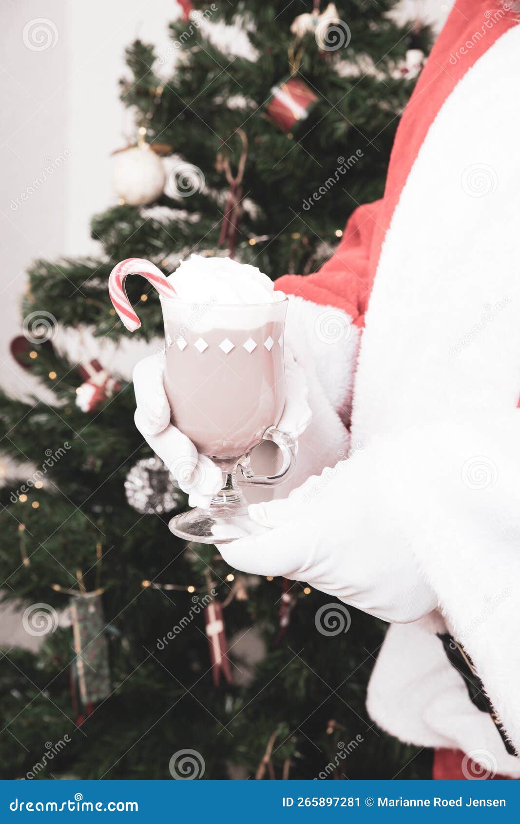 The Beautiful Danish Santa Claus Stock Image - Image of tradition ...