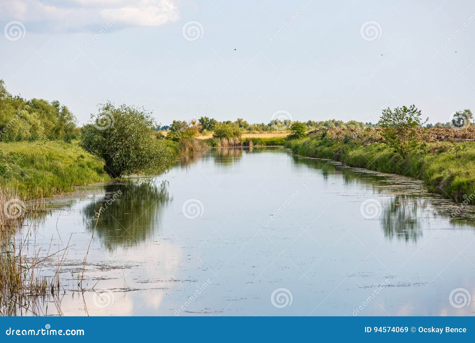 Beautiful Danube Delta stock image. Image of danube, delta - 94574069
