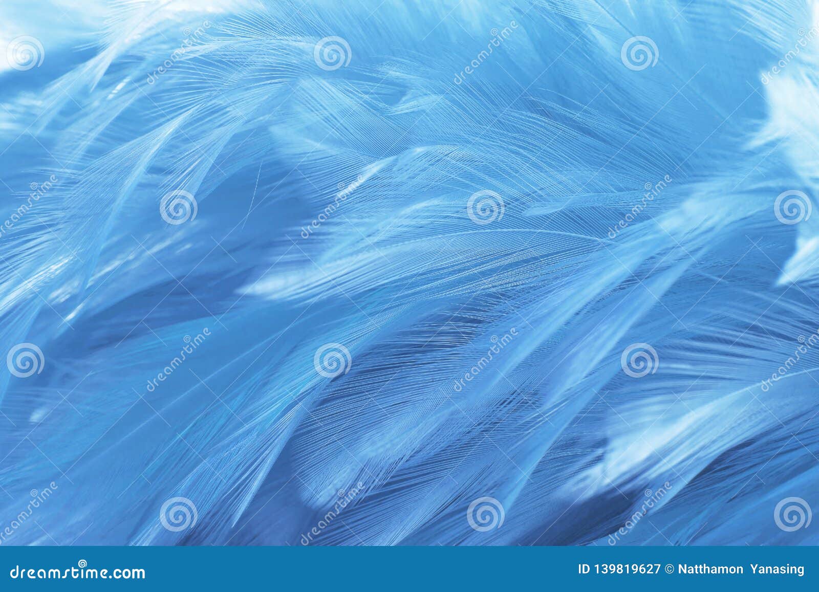 Beautiful Dark Blue Feathers Texture Background Stock Image - Image of ...