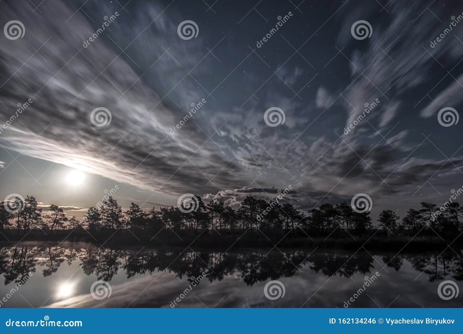 Beautiful dark night stock photo. Image of evening, tree - 162134246