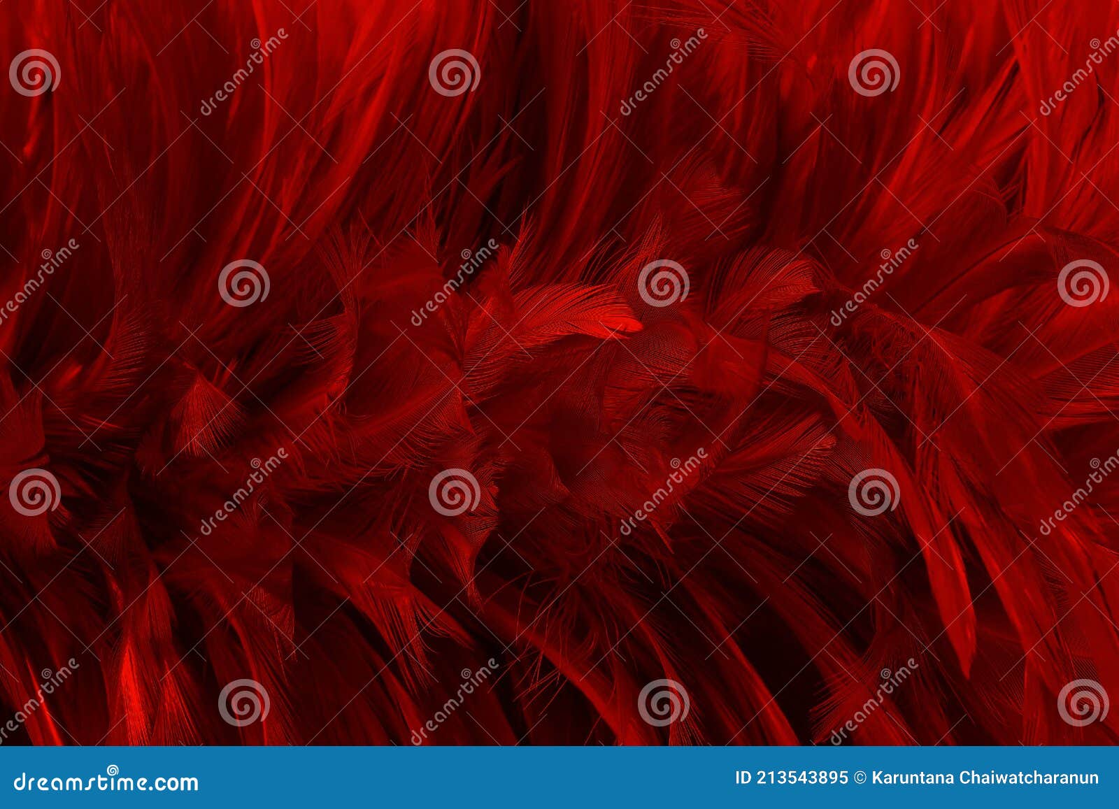 Beautiful Dark Red Bird Feathers Pattern Texture Background Stock Image ...