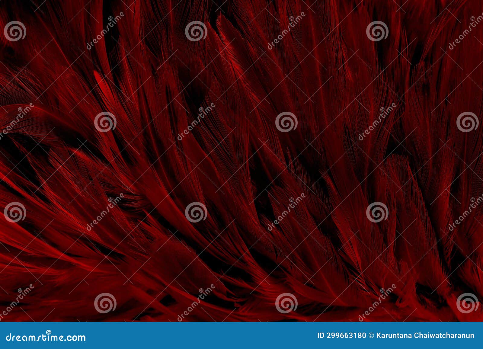 Beautiful Dark Red Bird Feathers Pattern Texture Background Stock Photo ...