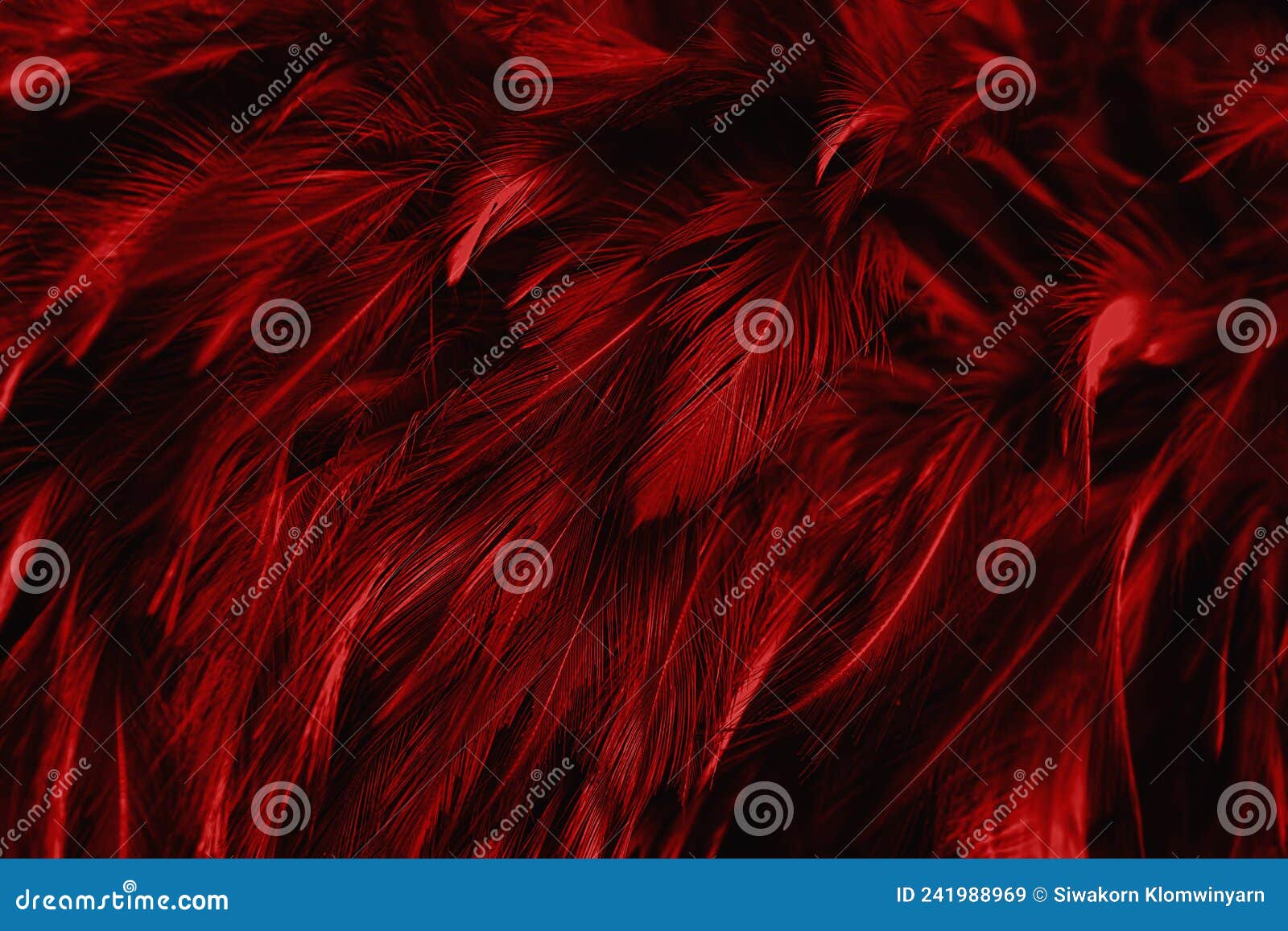 Beautiful Dark Red Feathers Texture Vintage Background Stock Image ...