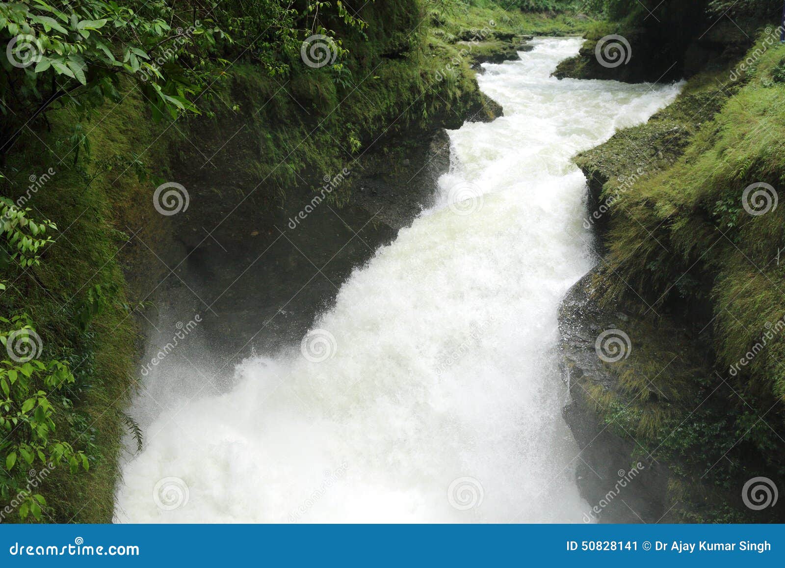 Beautiful Davis waterfall stock image. Image of exposure - 50828141