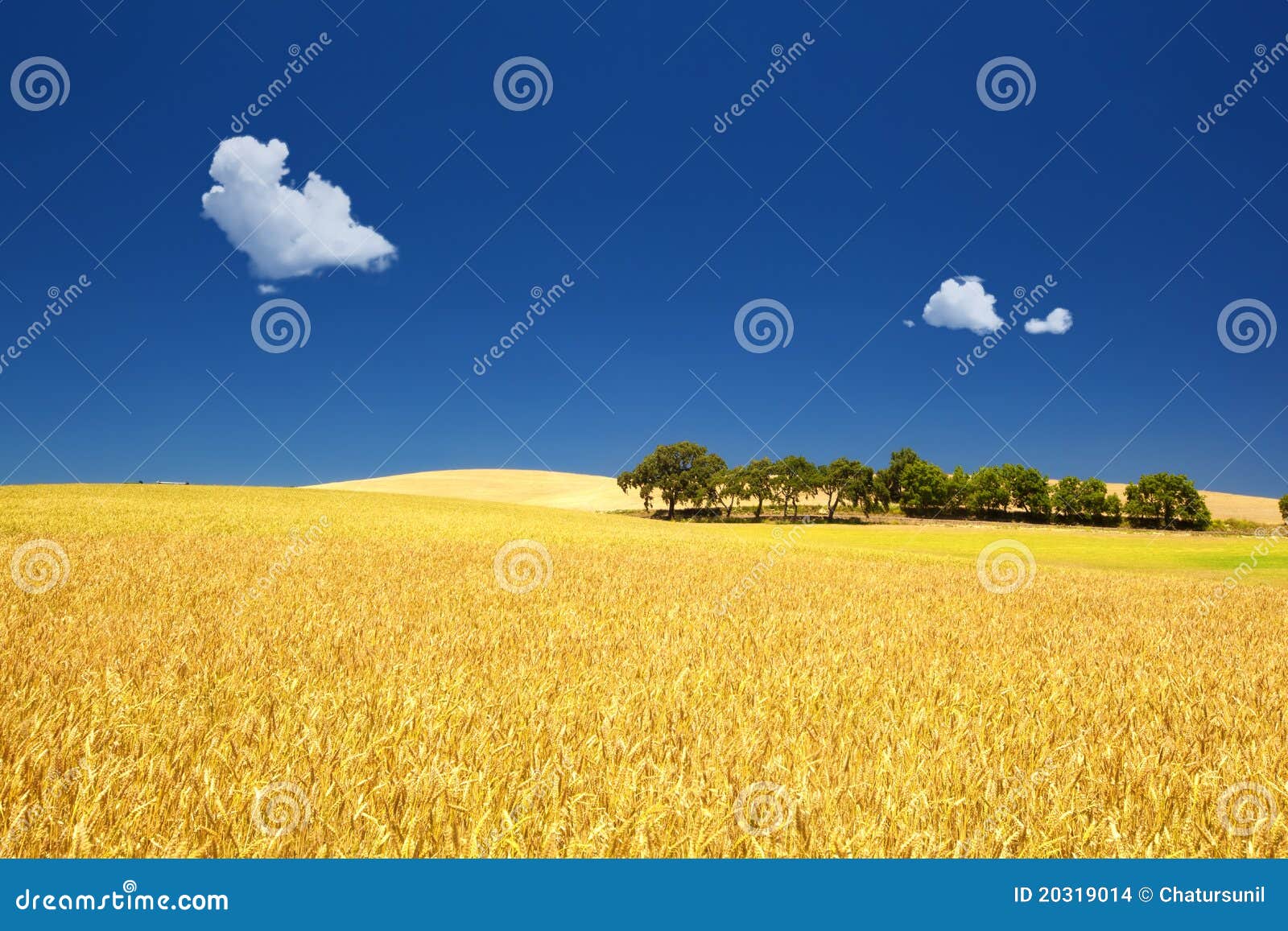 Beautiful Day stock photo. Image of blue, background - 20319014