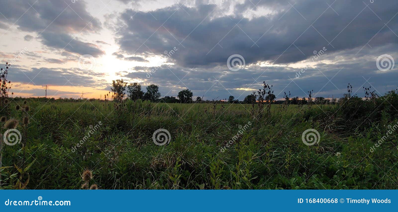 Beautiful day in bliss.. stock photo. Image of michigan - 168400668