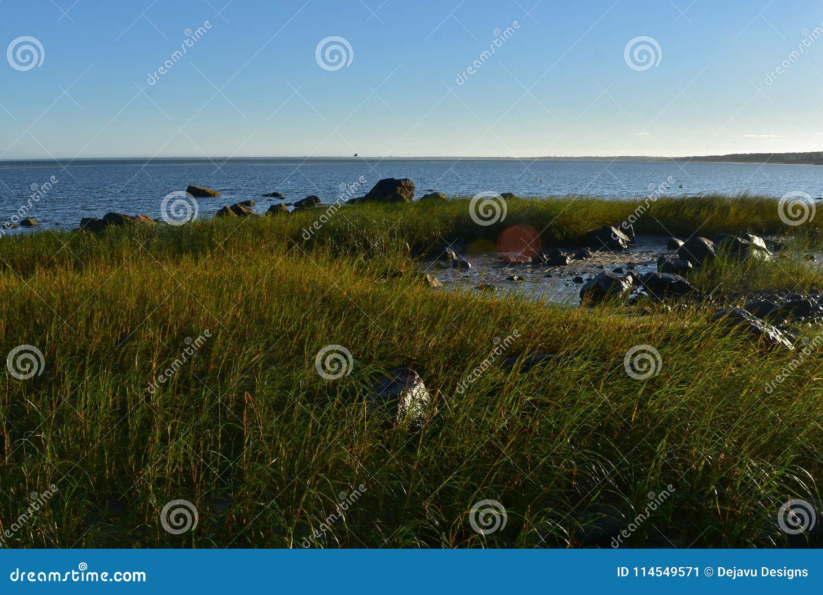 Beautiful Day on a Cape Cod Beach Stock Image - Image of northeast ...