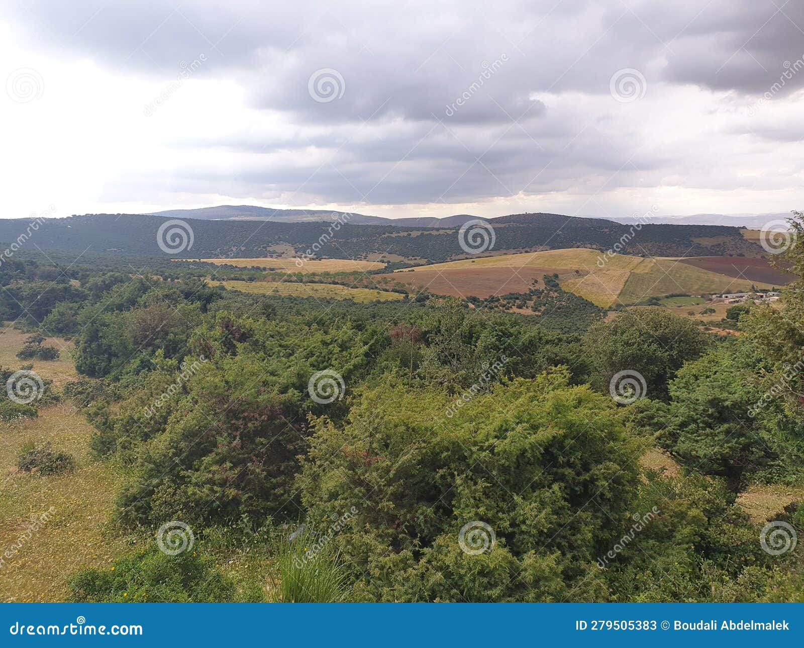 Nice View in the Forest, Lots of Trees Stock Image - Image of ridge ...