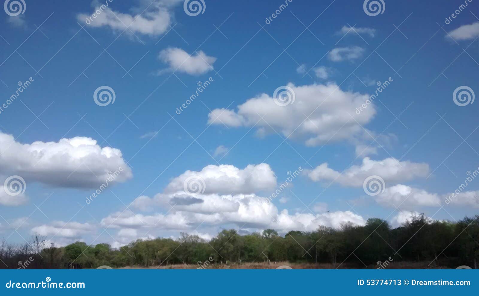 Beautiful day at a park stock image. Image of beautiful - 53774713