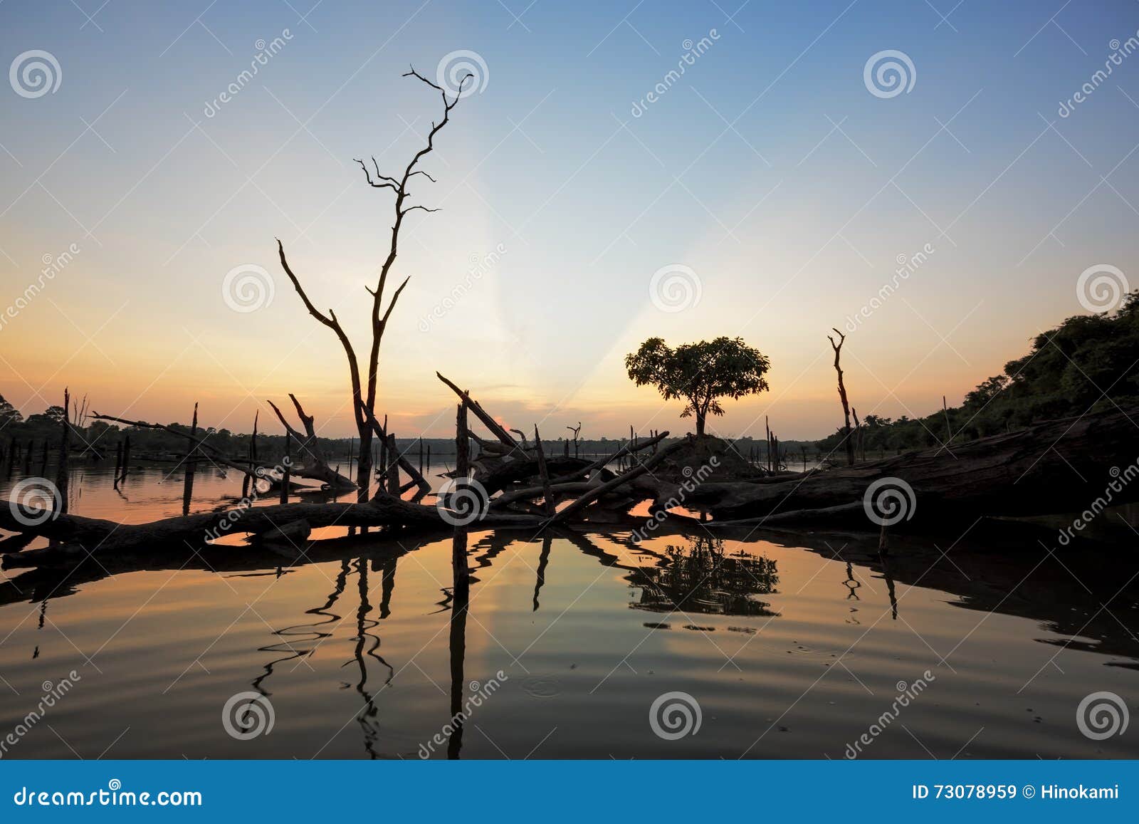 The Beautiful Dead Tree in Lake at Twilight Time Stock Image - Image of ...